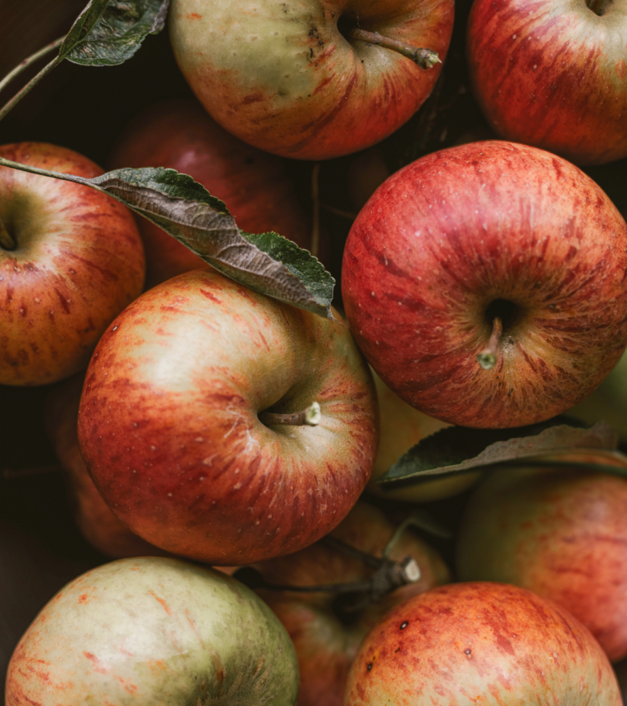 Säfte - Dahlmann Catering